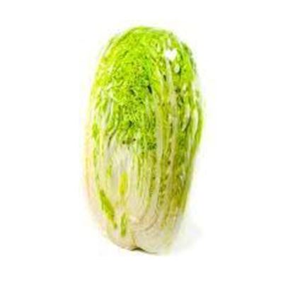 CABBAGE CHINESE WHOLE : Fruitologist
