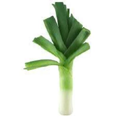 LEEK : Fruitologist