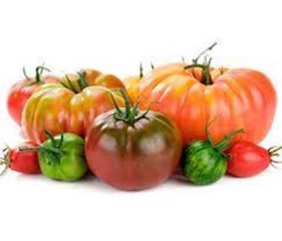 TOMATO OX-HEART : Fruitologist