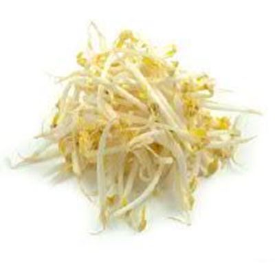 FRESH BEAN SPROUTS BAG : Fruitologist
